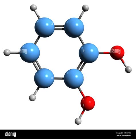 Polyphenol Oxidase Cut Out Stock Images And Pictures Alamy