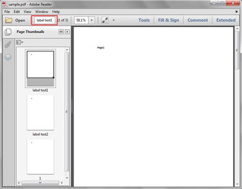Get PDF Page Labels In C