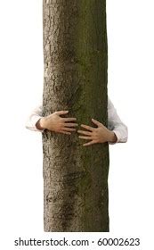 Man Hugging A Tree Images Stock Photos D Objects Vectors Shutterstock