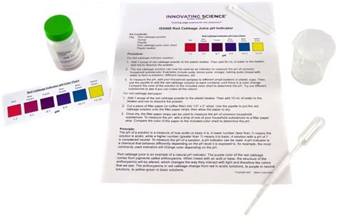 Buy Innovating Science® Red Cabbage Juice Ph Indicator Online Is Test All Categories Stem