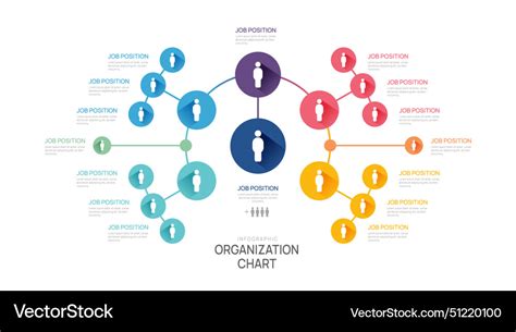 Infographic Template For Organization Chart Vector Image
