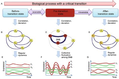 Dynamical Network Biomarkers A Schematic Illustration Of A Dynamical