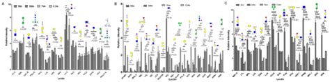 Lectin Microarray Analysis Of Glycopattern Differences In Subcellular Download Scientific