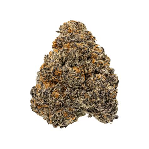 Og Scoobie Chronic Guru