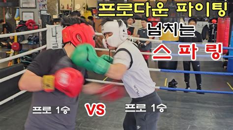 프로 1승들의 파이팅 넘치는 스파링 Boxing 복싱 권투 다이어트복싱 생활복싱 복싱스파링 스파링 복싱배우기 제이나인 프로복싱 챔피언 Youtube