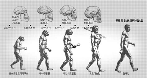 [서울신문] “인류 진화할수록 자연에 맞서 환경 바꿔”