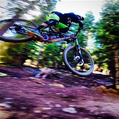 Joshy Ds Profile Vital Mtb