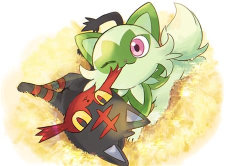 Sprigatito And Litten Pokemon Drawn By Ssnsasa8u9r Danbooru