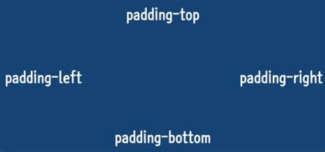 2주차 Htmlcss 5 Box Model