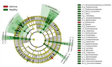 Ku Research Uses Machine Learning To Identify Potential Biomarkers For Respiratory Disease