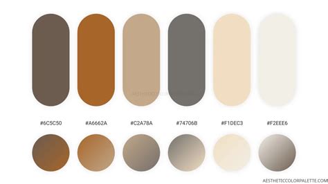 Seashell Colors Aesthetic Color Palette