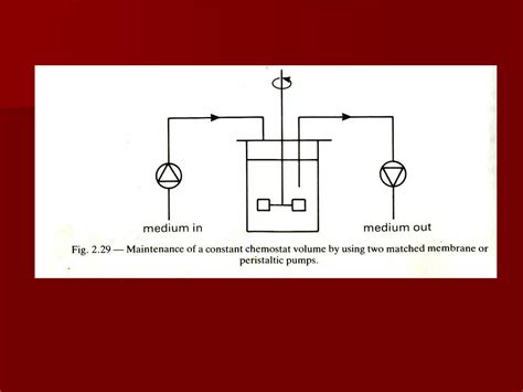 Batch Fed Batch Continuous Cultivation Ppt