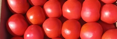 продажa овощи фрукты оптом 2024 ВКонтакте