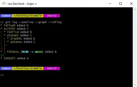 View The Git Reflog Graphically