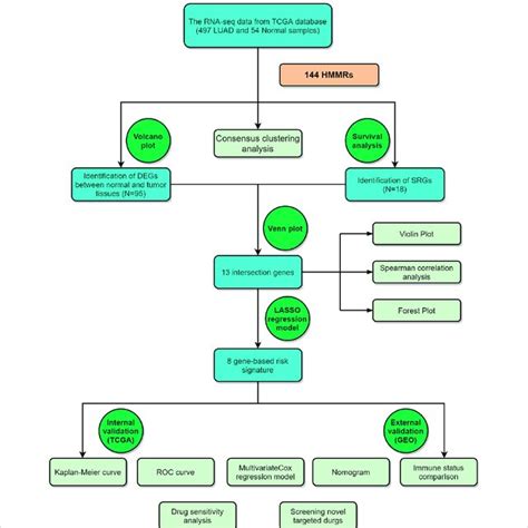 The Graphical Workflow Maps Of The Study Download Scientific Diagram