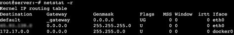 How To Use The Netstat Command In Linux