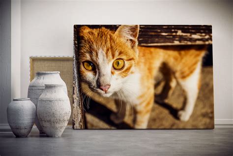 Картина 50х70 см Канава Еко солвентен печат Дървена подрамка Cover Print Advertising And