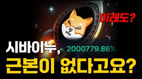 시바이누 아직도 근본 없는 밈코인 같으세요 Youtube