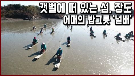 갯벌에서 목숨을 지켜주는 유일한 안전장치이자 자가용이자 화물차 어매의 밥그릇 널배 Kbs20181223 방송 Youtube