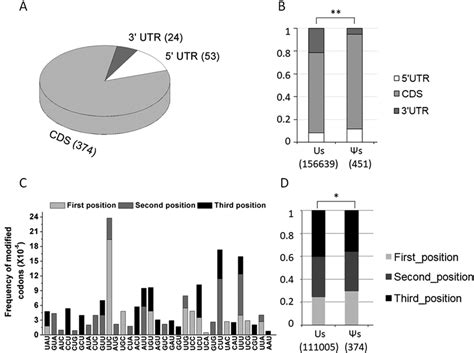 Pseudouridine Distributions In Arabidopsis Mrna Transcripts And In Download Scientific Diagram