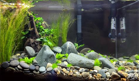 River Rock Aquarium
