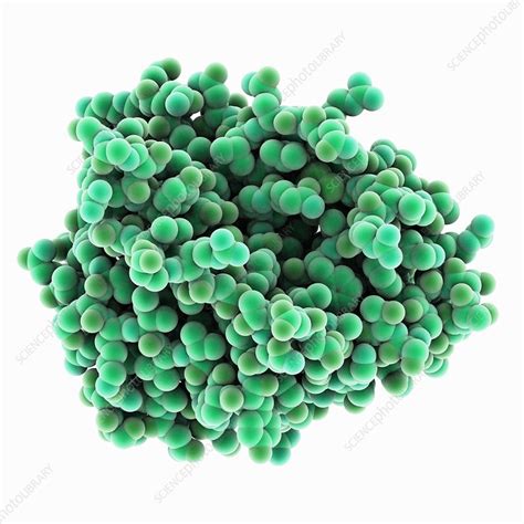 Pancreatic Elastase Enzyme Stock Image C026 6023 Science Photo Library