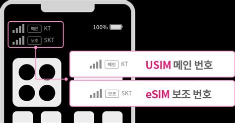 도입100일 맞는 E심…아직은 찻잔 속 태풍