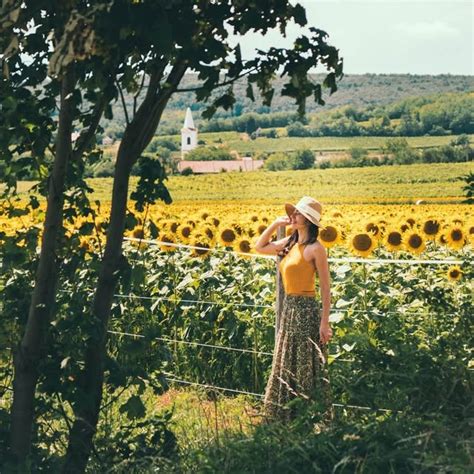 Stella Szigethy Hungary Travel Lifestyle Miss Somloi • Threads