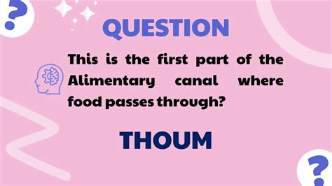 The Git Aka Digestive System Sample Lesson Presentationpptx