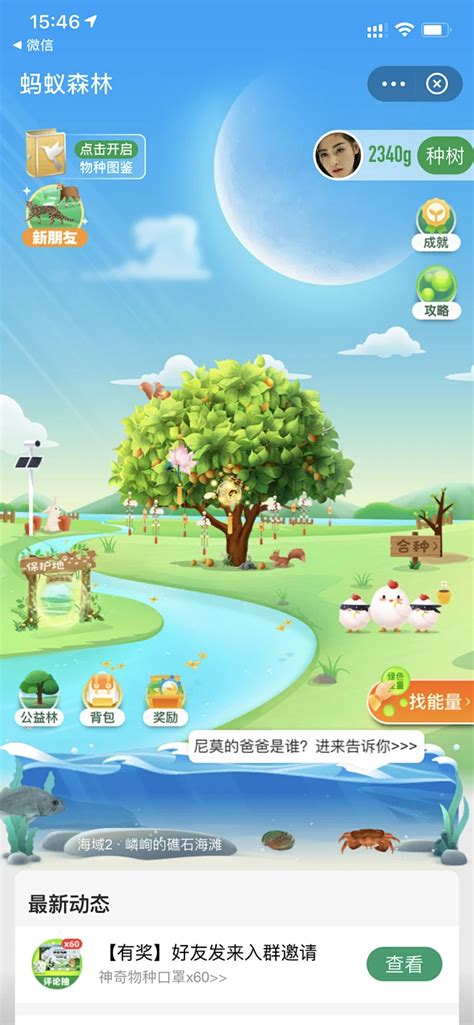 支付宝蚂蚁森林 旧版 花瓣网