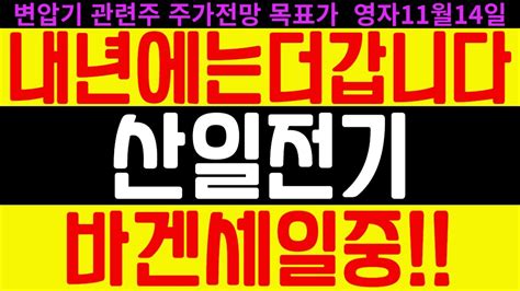 산일전기 주가전망 내년에는 더 갑니다 바겐세일중 디에스경제연구소 영자 Youtube