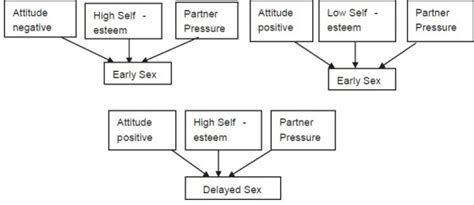 Partner Pressure And Sexual Resilience Download Scientific Diagram
