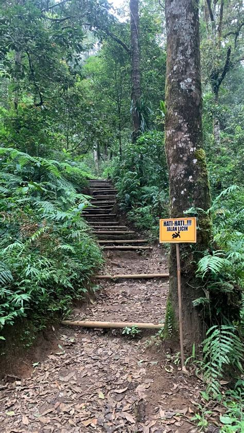 Lorong Lumut Spot Foto Anti Mainstream Di Lembang
