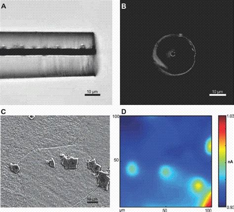 Linking Localized Corrosion Of Stainless Steel To Titanium Department
