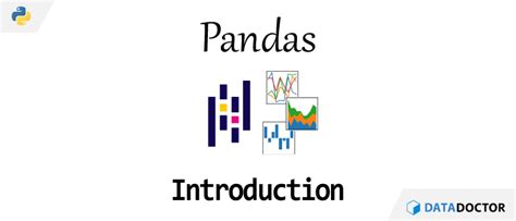 py 기초 pandas data doctor