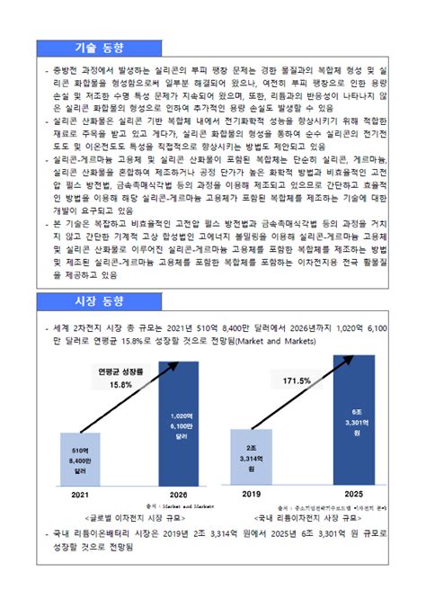 이차전지용 전극 물질 및 이를 포함하는 리튬 이차전지금오공과대학교 박철민 교수 Tbizmarket