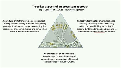 Learning As Ecosystems Reflective Learning Partnerships In Philanthropic Programming In