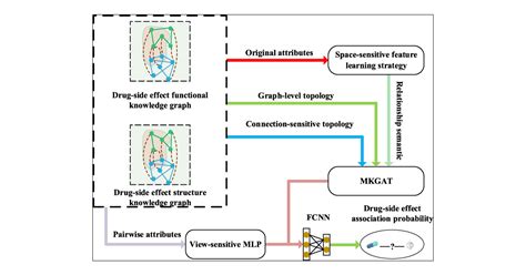 Multi Knowledge Graph And Multi View Entity Feature Learning For