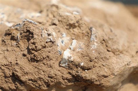 საქართველოს ახალი არქეოლოგიური აღმოჩენა ოროზმანის საერთაშორისო გათხრების მიმდინარეობისას