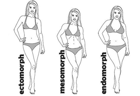 Вот как определить тип телосложения эктоморф мезоморф и эндоморф у женщины Ответы Mail