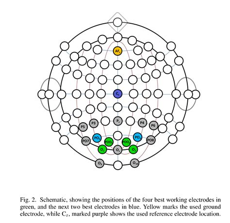 Data From Brainflow And Openbcigui Seems Different — Openbci Forum