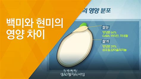 백미와 현미의 영양 차이 20140827 514회 방송 살 빠지는 밥의 힘 쌀 다이어트 Youtube