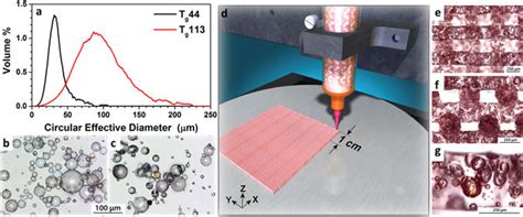 Llnl Researchers Use Direct Ink Writing To 3d Print Silicone
