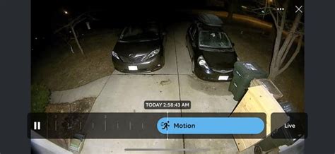 Outdoor Ring Cam Detects Motion For Rabbits But Not Humans Rifling