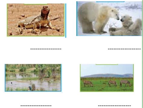 أوراق عمل غير محلولة علوم الصف الثاني الإبتدائي الفصل الأول بداية