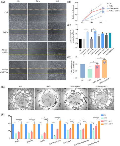 Tetrahedral Framework Nucleic Acids‐based Delivery Promotes Intracellular Transfer Of Healing