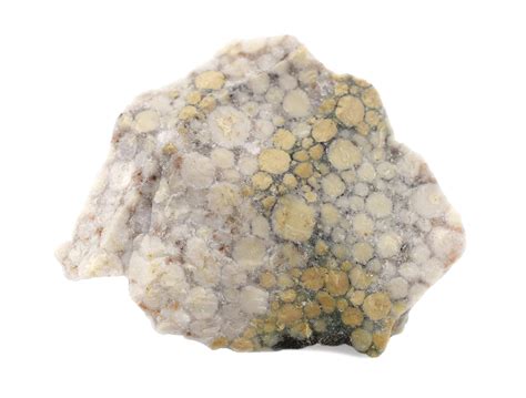Conglomerate Sedimentary Rocks