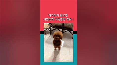 미친 여신 카리나의 셀카 밸런스게임 Youtube