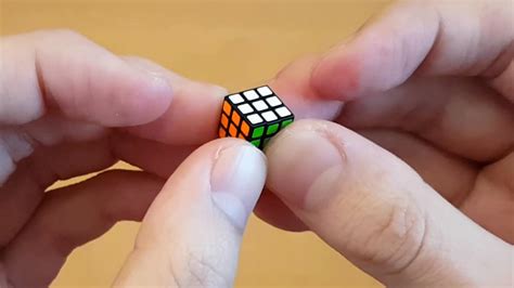 What Is This A Rubix Cube For Ants R Thingsforants