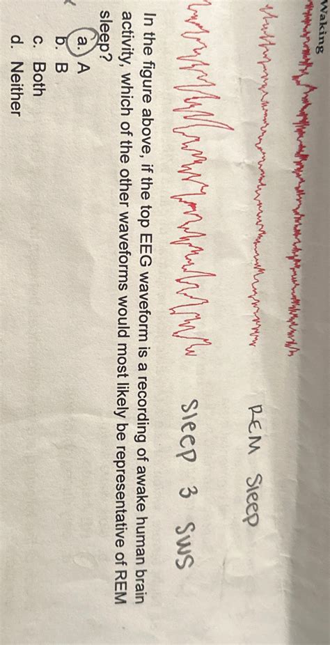 Solved In The Figure Above If The Top EEG Waveform Is A Chegg